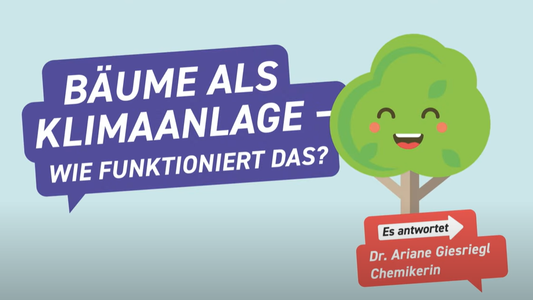 Bäume als Klimaanlage - Wie funktioniert das? - Climate Change Centre ...
